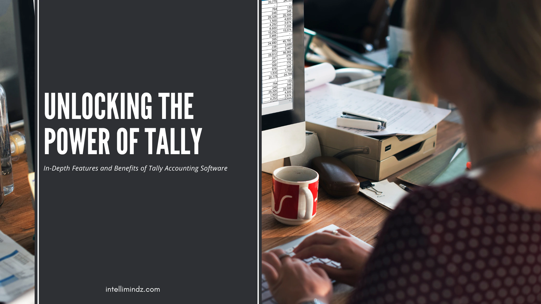 In-Depth Features and Benefits of Tally Accounting Software